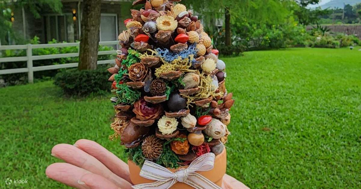 Hualien: Gancheng Town B&B - Pinecone Immortal Seed Tree DIY - Klook